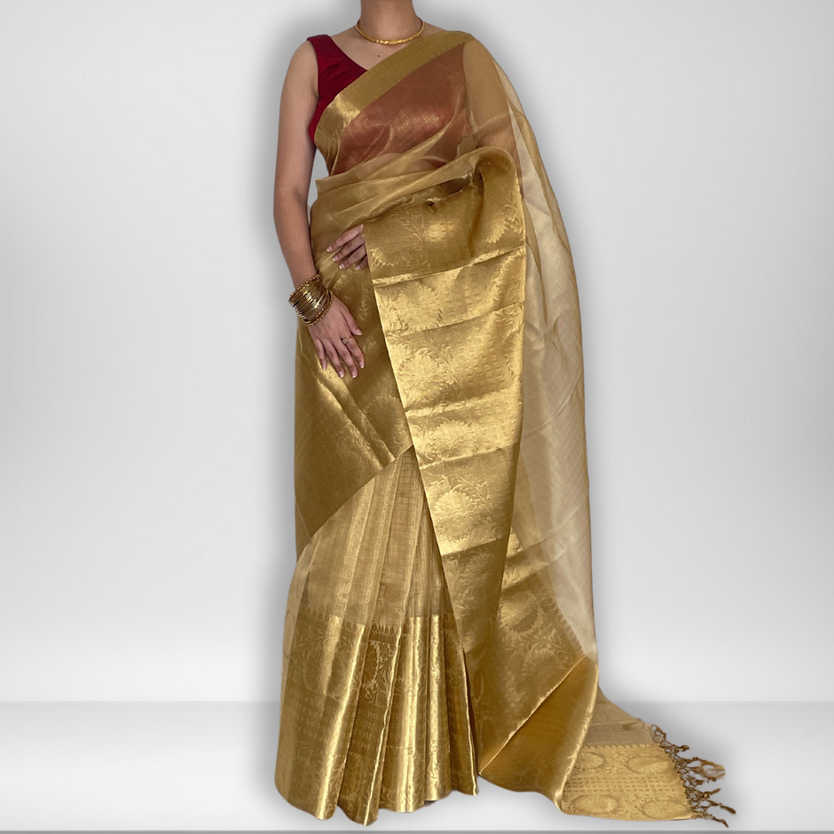 Tissue Sarees | Shobhangini